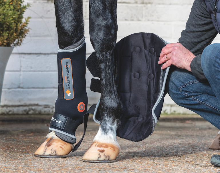 Does magnetic therapy for horses really work? - Your Horse