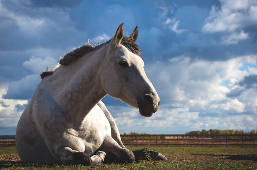 Spring has sprung! Nine reasons riders are celebrating the new season ...