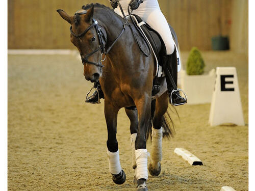 How to Ride Shoulder-fore - Your Horse