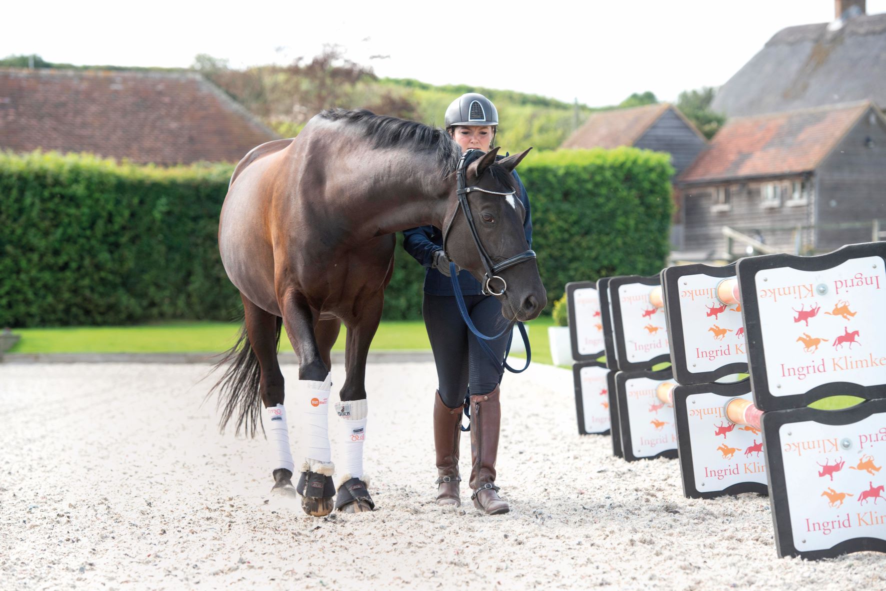 How to use body language to yield your horse from the ground - Your Horse