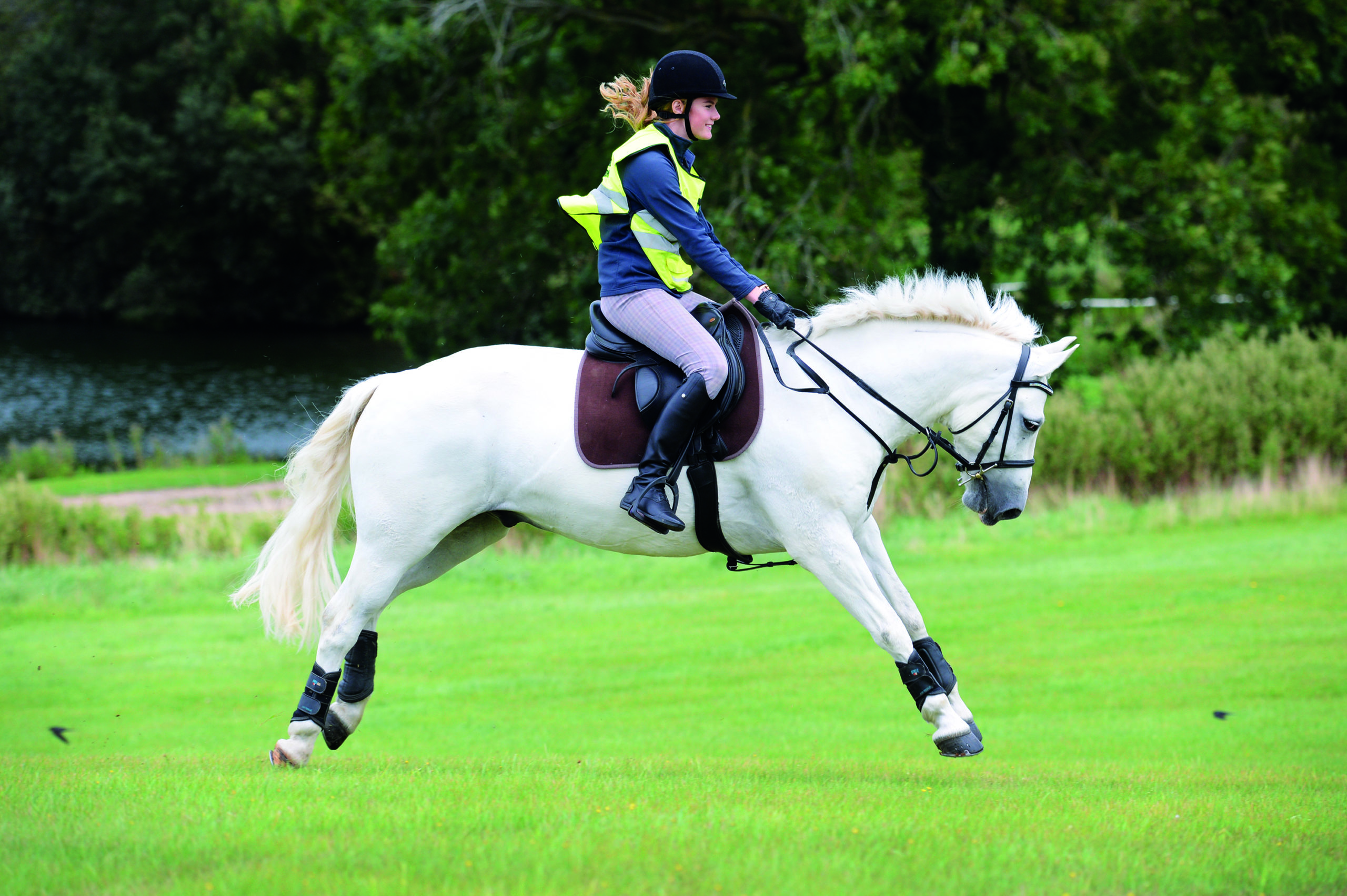 Spring fever: what it is and what you can do to help calm your horse ...