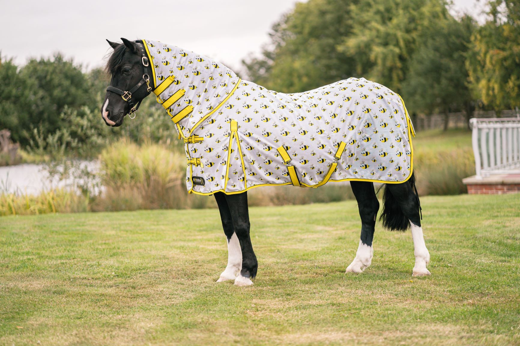 Buzz off: Buyer's guide to choosing a fly rug - Your Horse