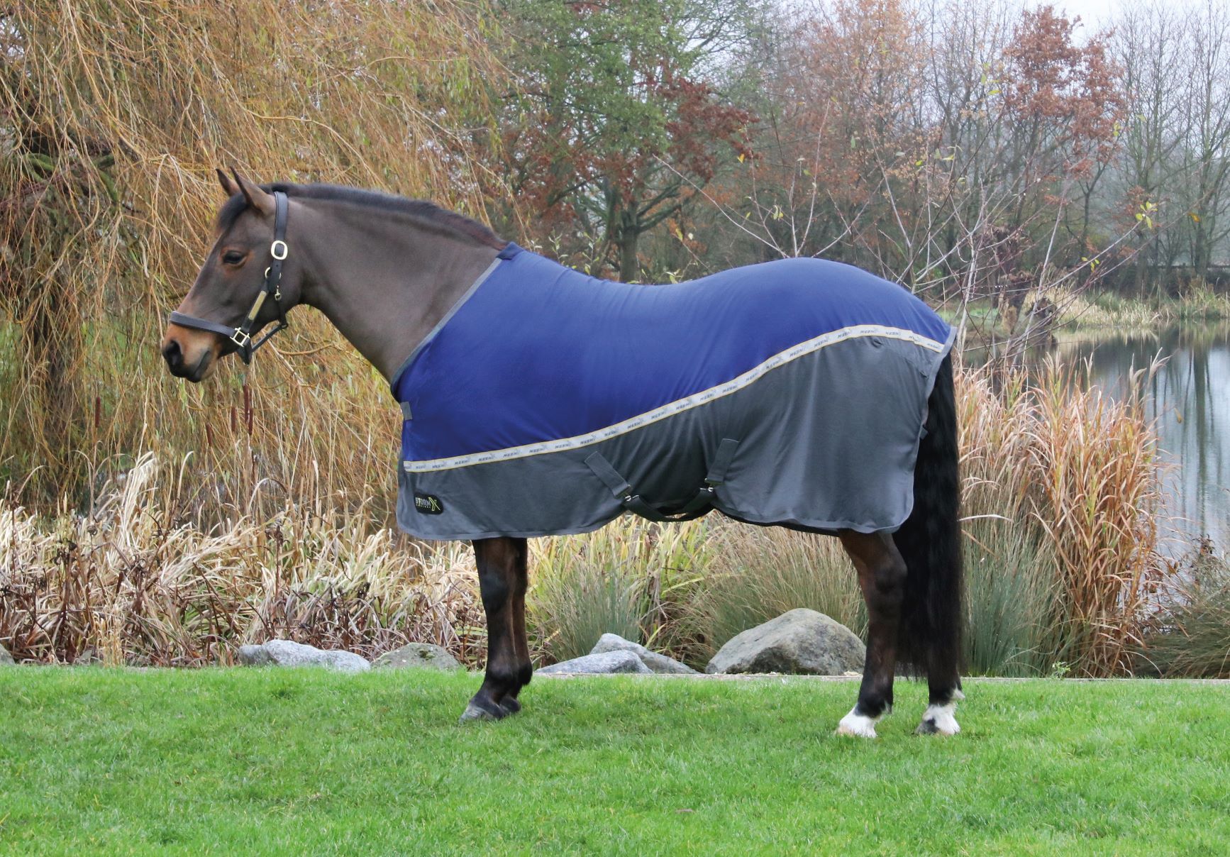 Cooler rugs: 18 versatile cooler blankets to keep your horse ...
