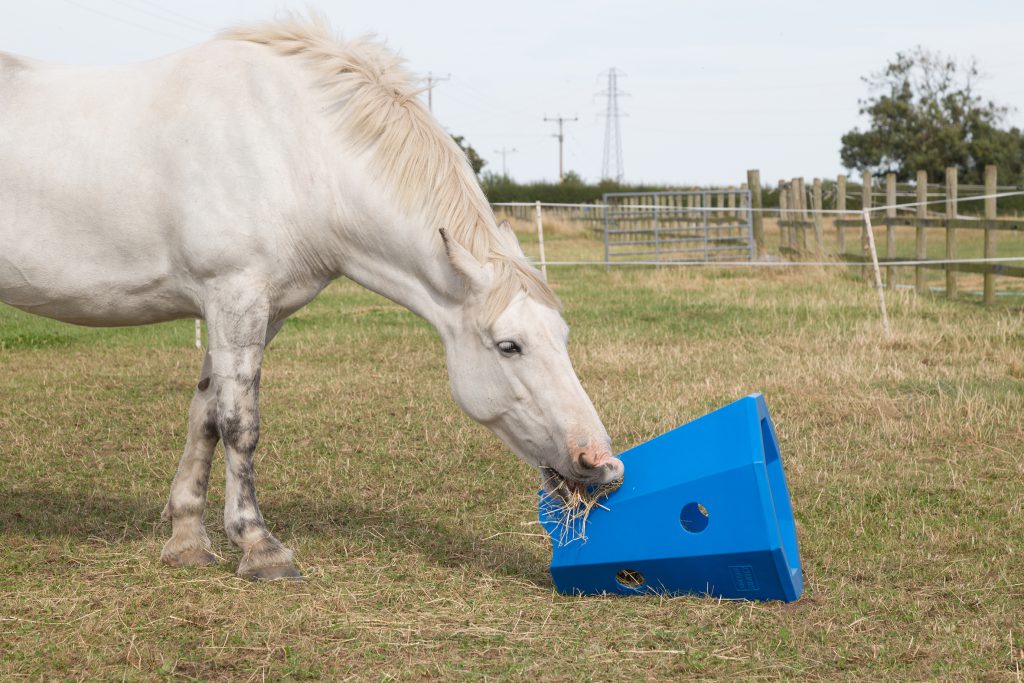 Stubbs Hay Roller - Your Horse