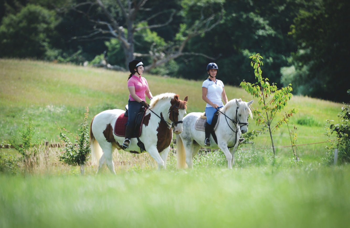 Why hacking a horse is good for riders' mental and physical health ...