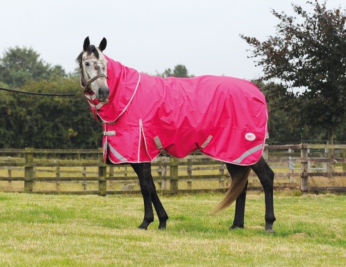 9 lightweight turnout rugs to get your horse ready for autumn - Your Horse