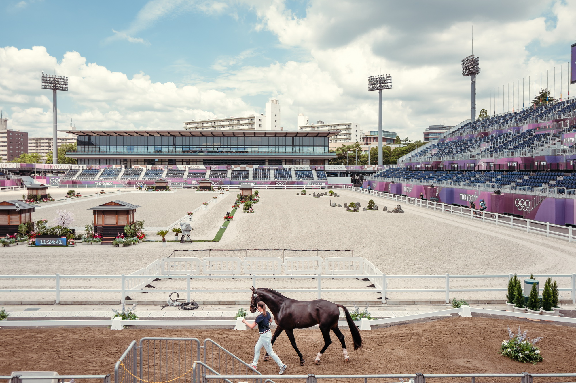 Tokyo Olympics: all British dressage horses pass first horse inspection ...