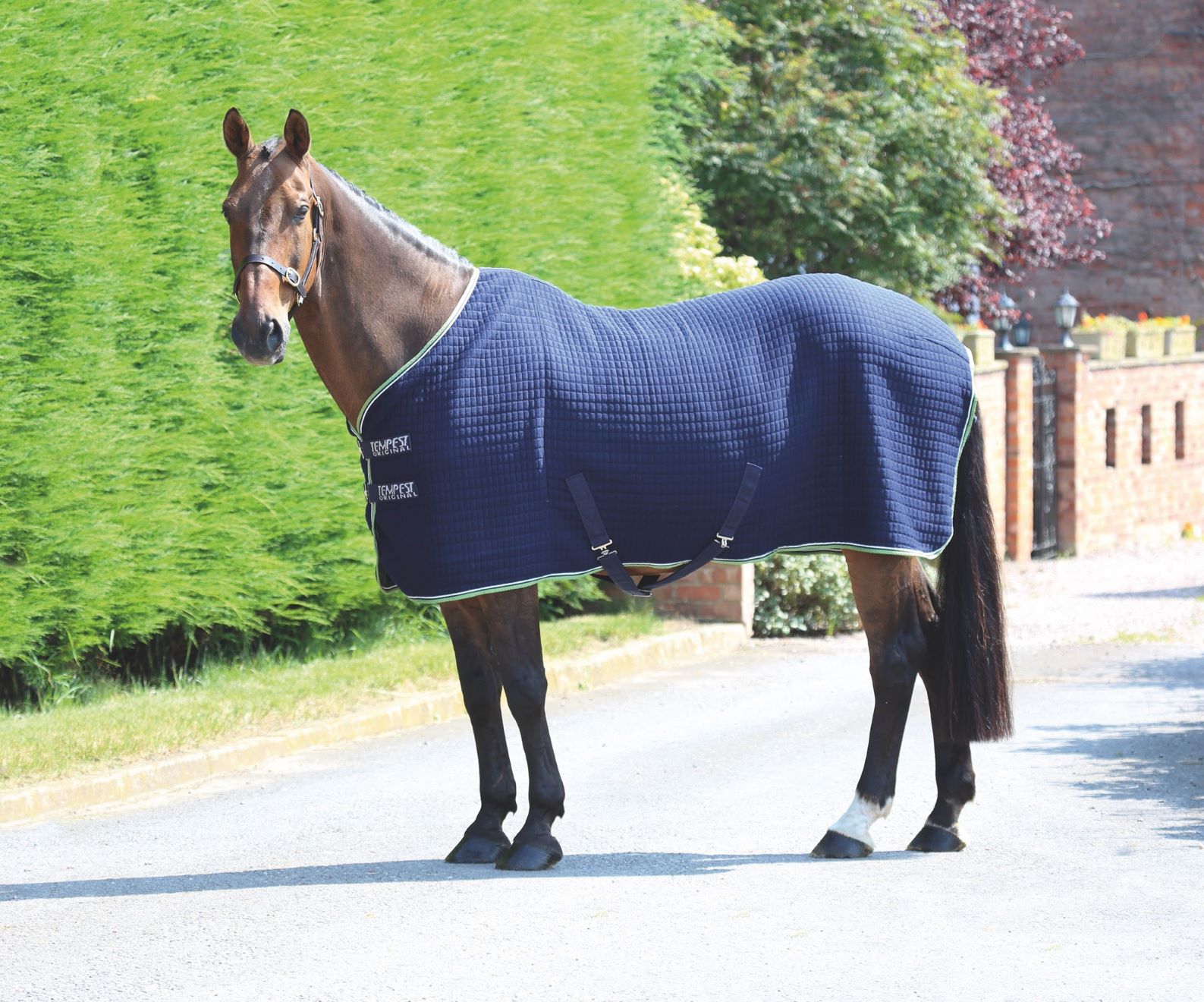 14 versatile cooler and travel rugs for horses - Your Horse