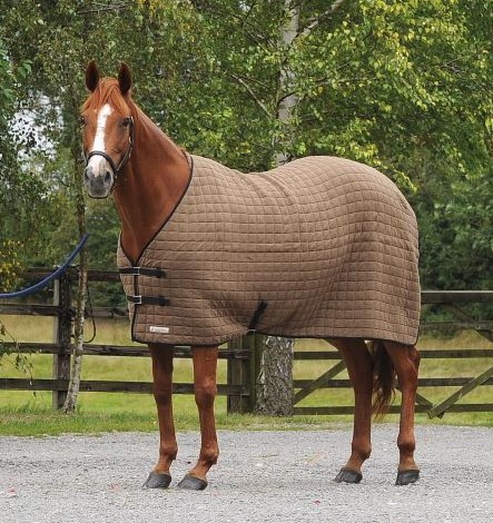 14 versatile cooler and travel rugs for horses - Your Horse