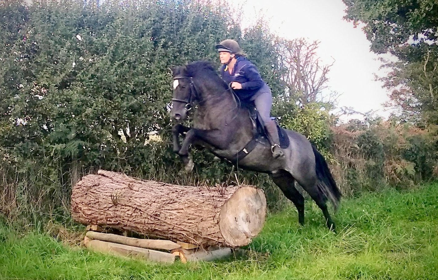 'You are likely to kill someone': Rider appeals to stop balloon ...