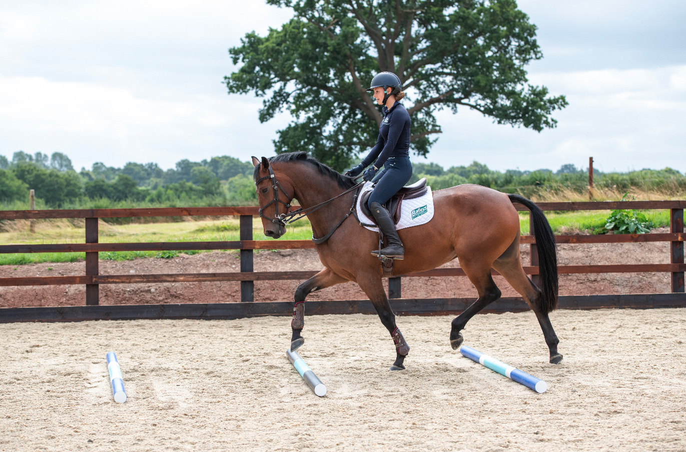 How to measure out canter poles, related distances and bounces on foot ...