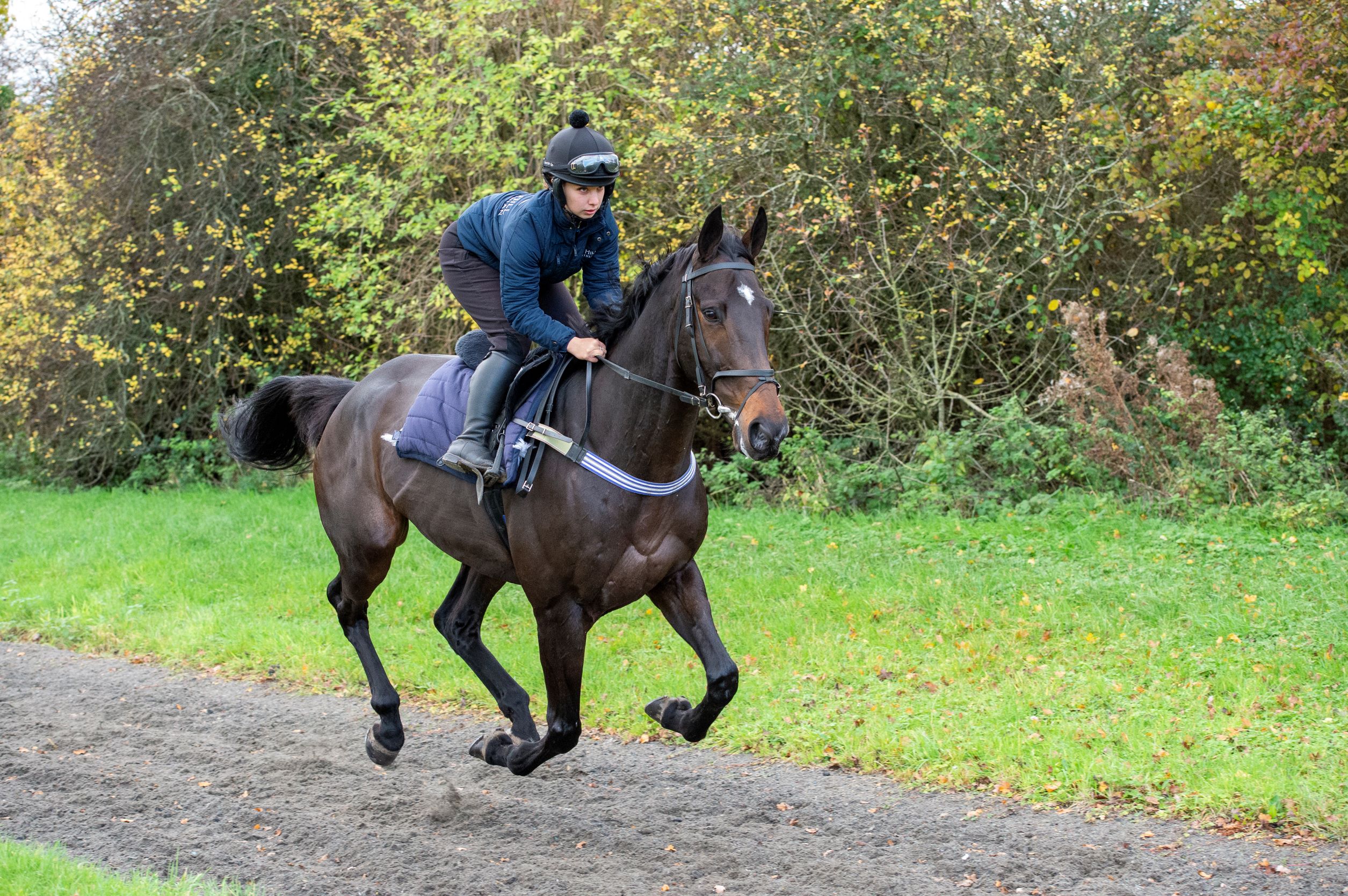 Seven reasons to take your horse to the gallops - Your Horse