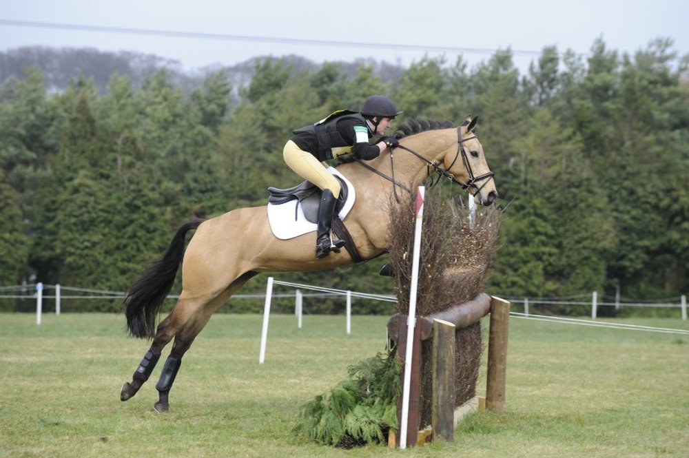 How to Perfect Your Approach and Position for Show Jumping - Your Horse