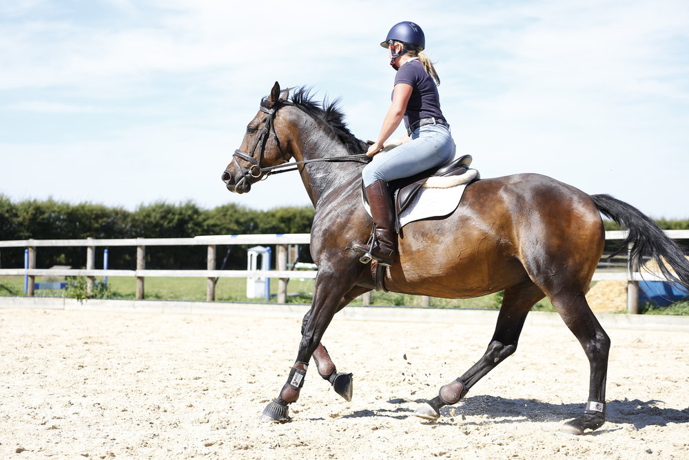 Fitness plan: experts advise how to get a horse fit - Your Horse