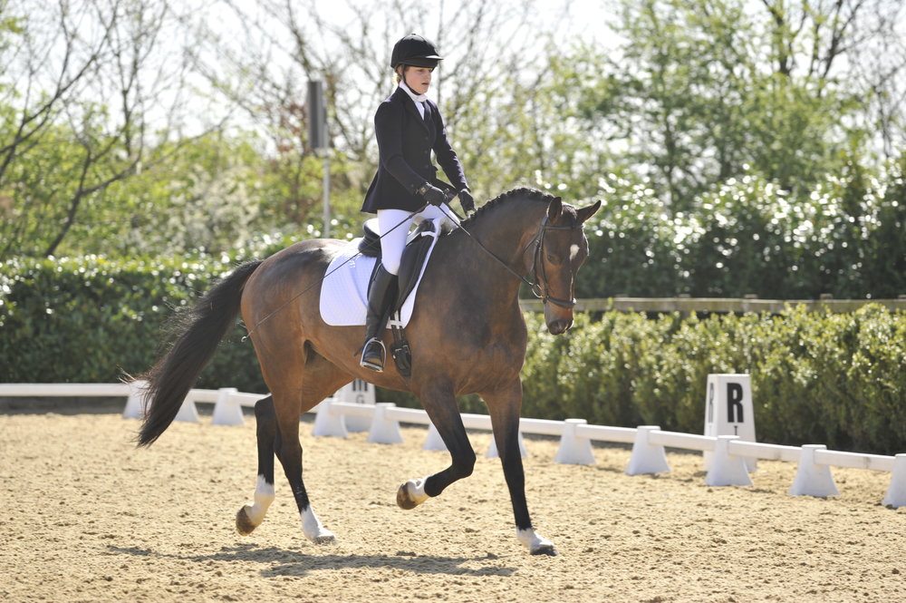 This is why trotting on the correct diagonal is important for keeping a ...