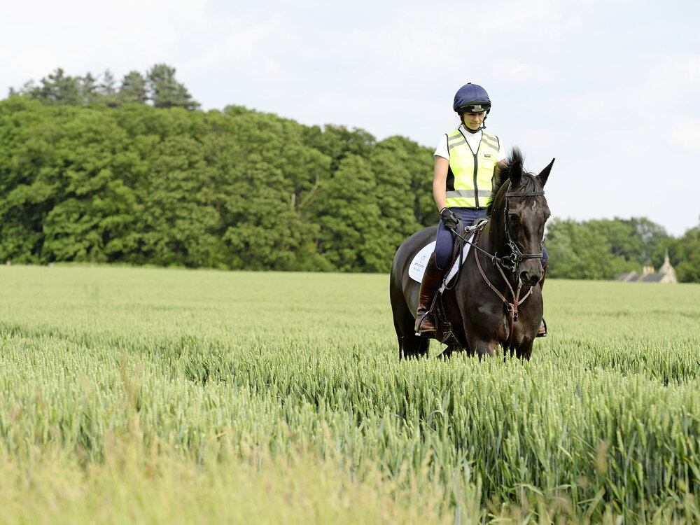 Why hacking a horse is good for riders' mental and physical health ...