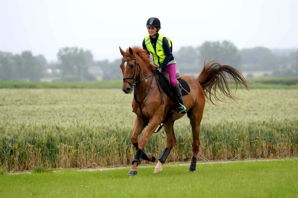 Bolster your rides with this interval training programme for horses ...