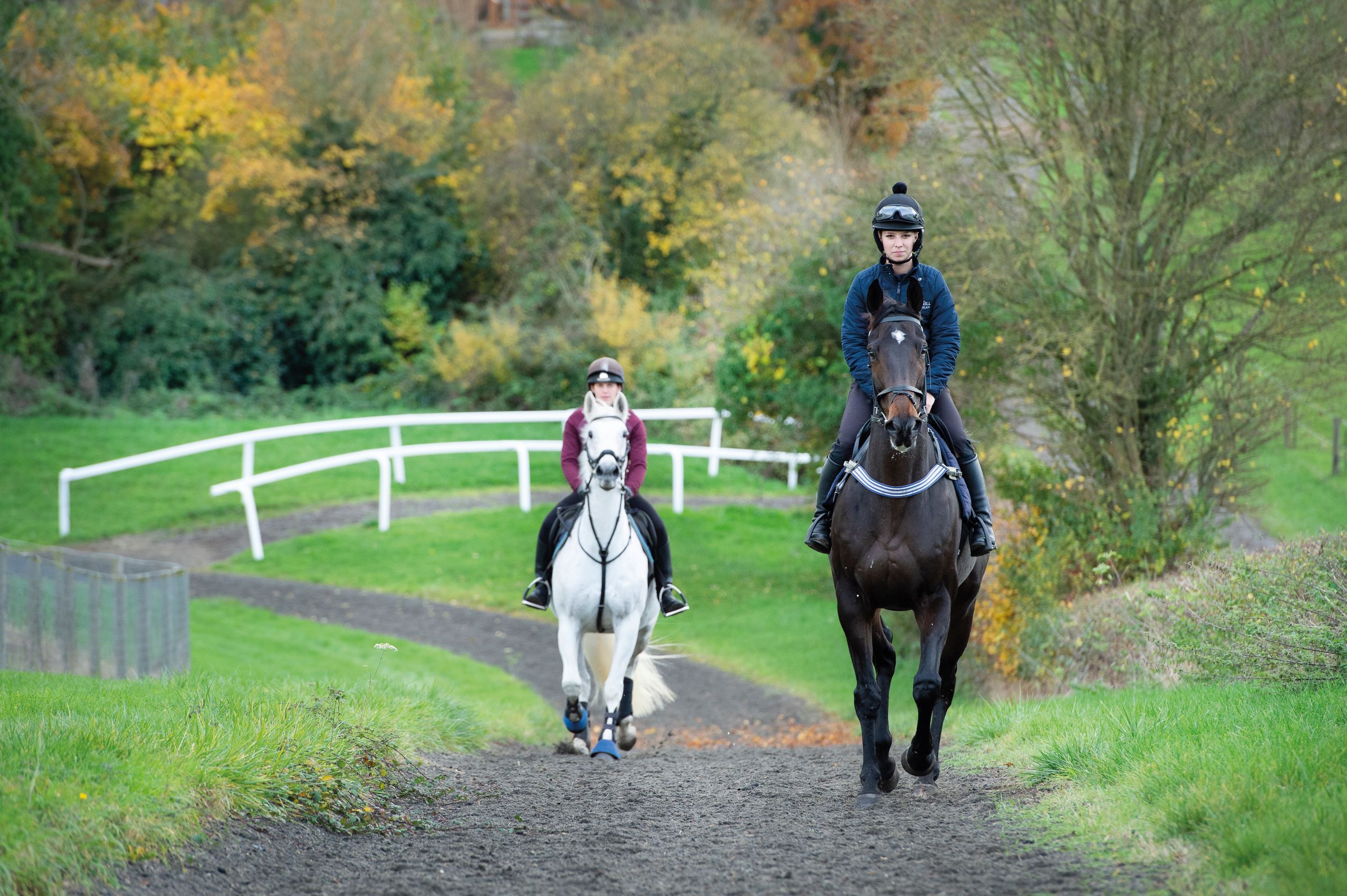 Seven reasons to take your horse to the gallops - Your Horse