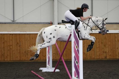 How to Perfect Your Approach and Position for Show Jumping - Your Horse
