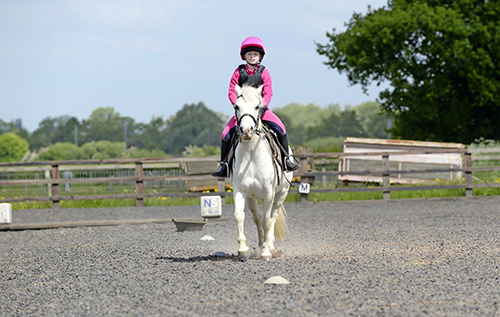 Fun Games to Try With Your Pony - Your Horse