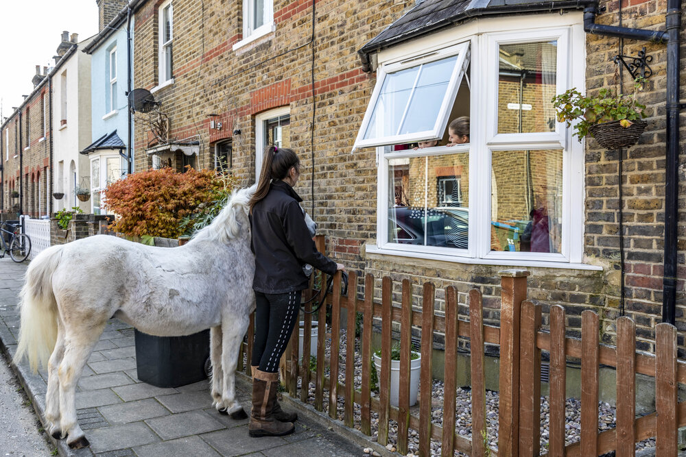 10 Days Remain to Save Park Lane Stables - Your Horse