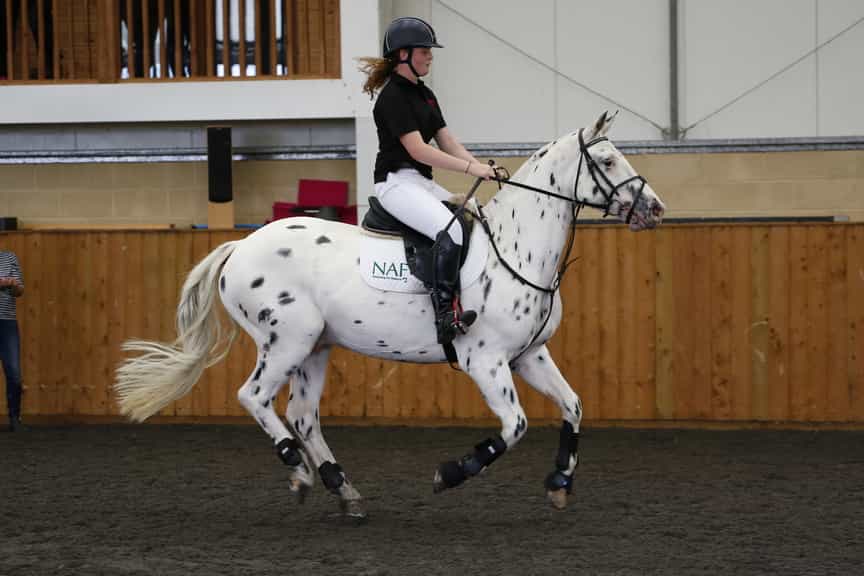 How to Perfect Your Approach and Position for Show Jumping - Your Horse