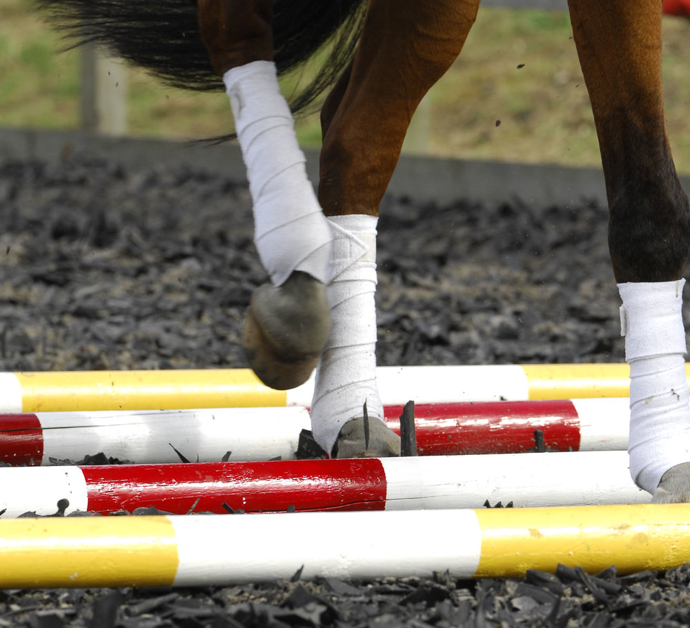 How to Shorten Your Horse's Stride With Poles - Your Horse