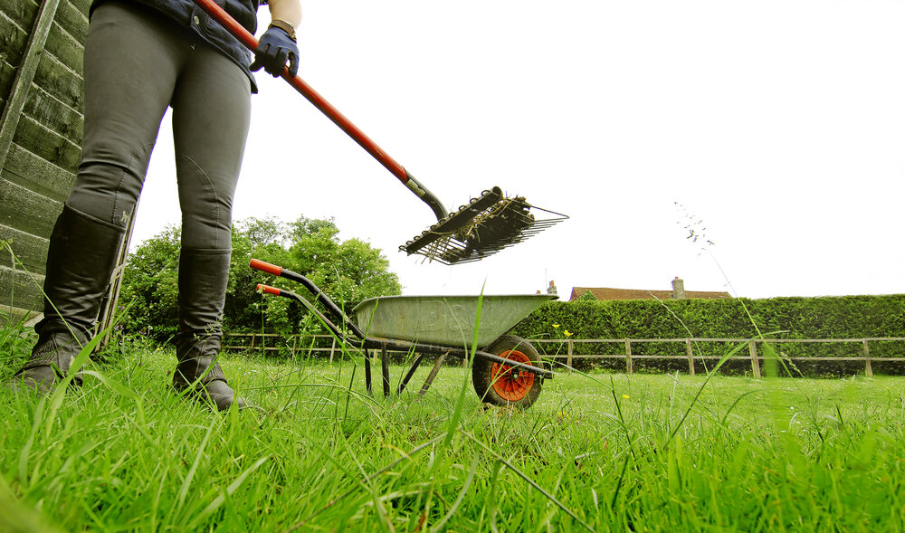 Essential horse worming schedule and management tips from a vet - Your ...