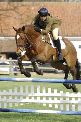 Training Your Horse for Show Jumping - Your Horse