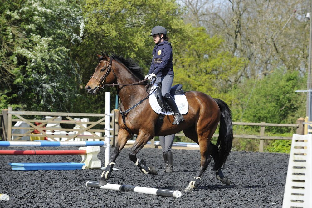 Horse fitness plan: how to get a horse fit - Your Horse