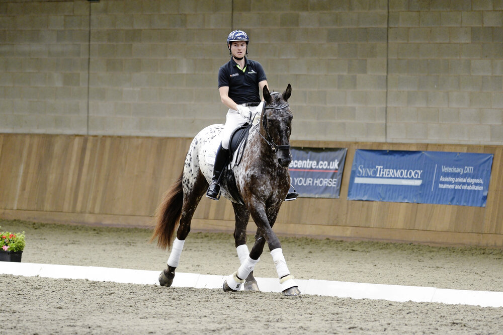 Dancing Hooves and Scientific Position Precision at Your Horse Live ...