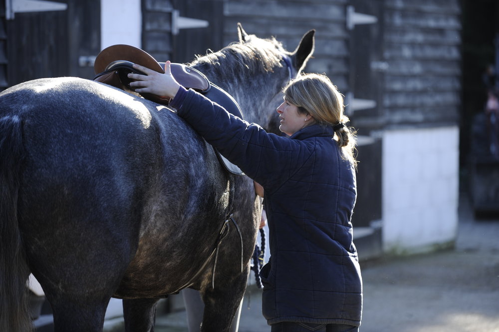 SMS saddle fitter explains how to check a horse's saddle *Video* - Your ...
