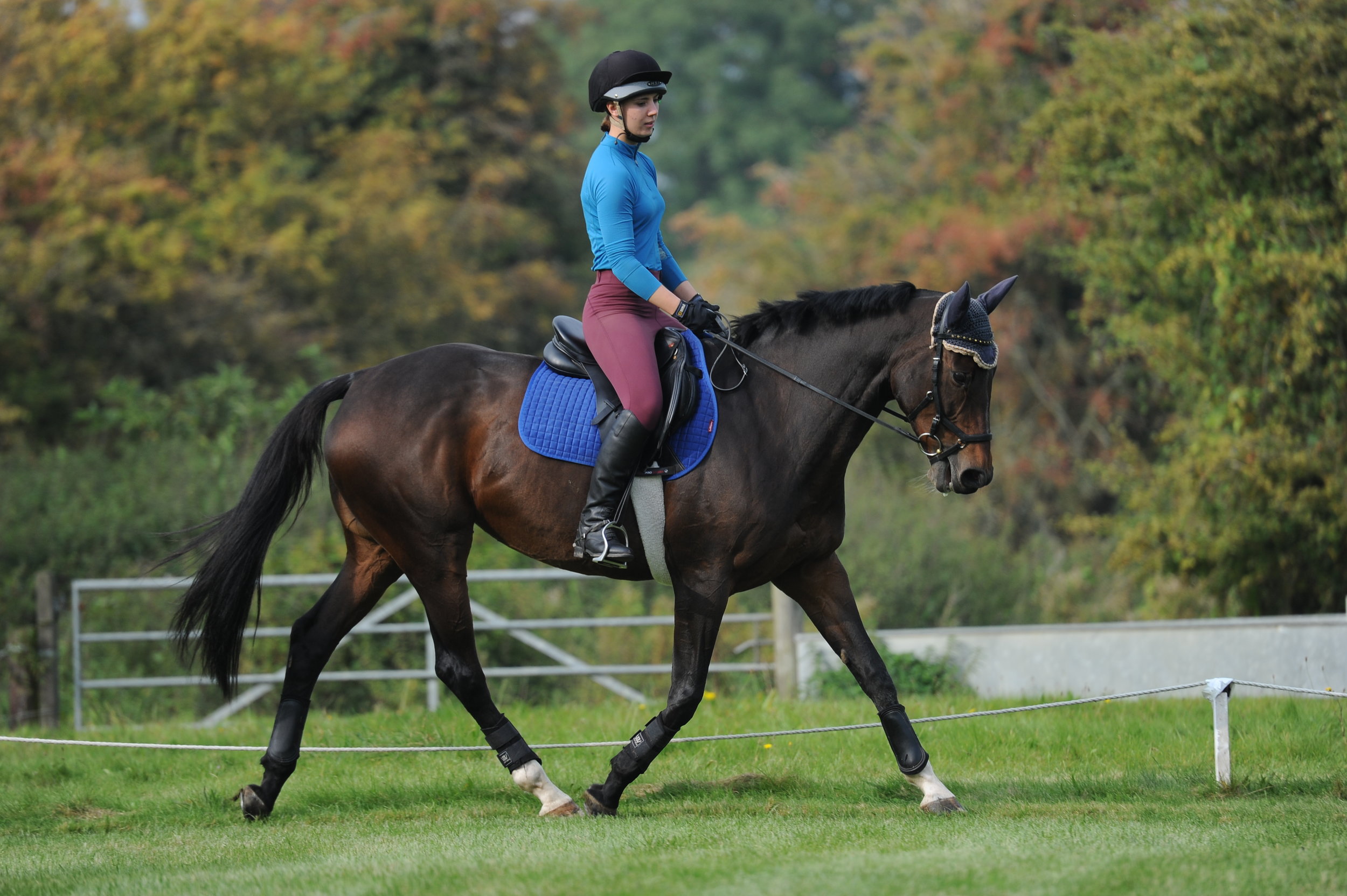 Sitting, Rising or Two-point Position: Which Is Best for Our Horse's ...