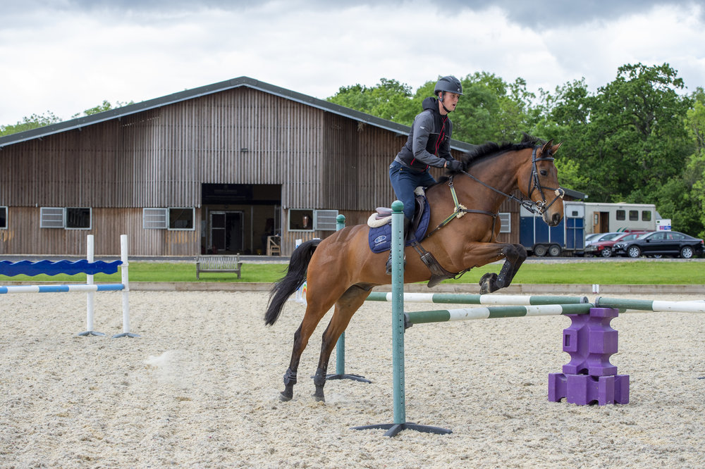 Tom Rowland's Top Training Tips for Confident Jumping - Your Horse