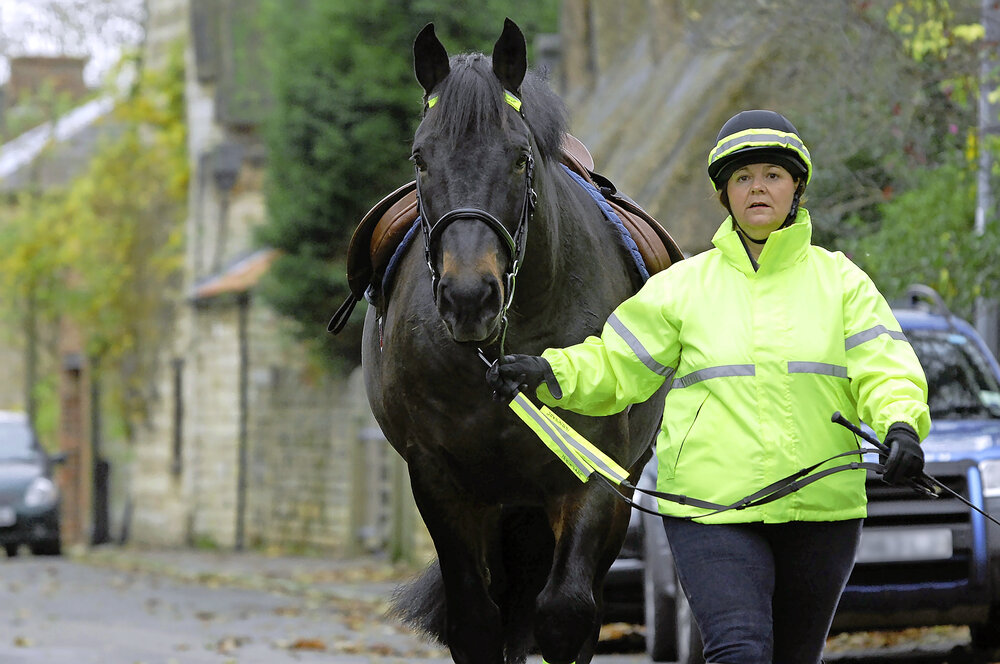 Fed up of being pushed around? Top tips to stop your horse from barging ...